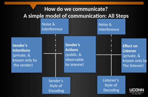 HDFS Exam 2 Chapters 5 6 7 And 9 Flashcards Quizlet