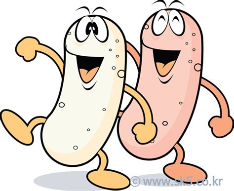 한과 캐릭터 이미지 사용조건이 까다롭지 않은 요리사진 100만컷