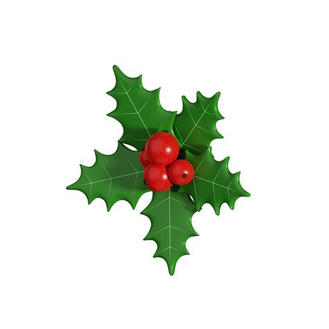 3d Christmas Mistletoe 13995683 Png
