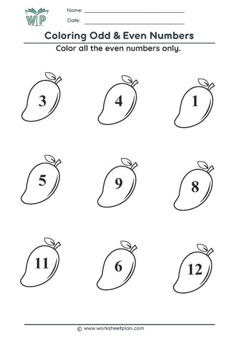 Coloring Odd And Even Worksheet Plan