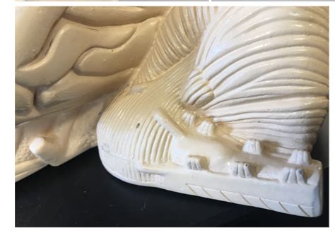 Solved What Label Model Is Shown Below Draw On The Chegg