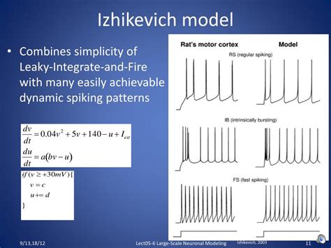 Ppt Cse511 Brain And Memory Modeling Lect05 6 Large Scale Neuronal Structure Modeling
