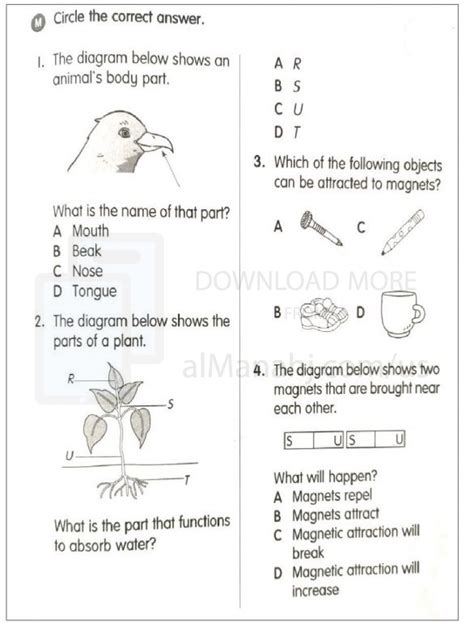 File Images