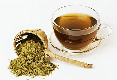 Matetee Rezept Eat Smarter