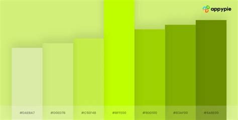 Lime Color How To Use This Bright Hue For Maximum Impact