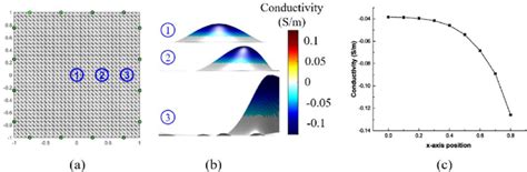 Position Dependence Of The Reconstructed Conductivity On The Eit Based Download Scientific