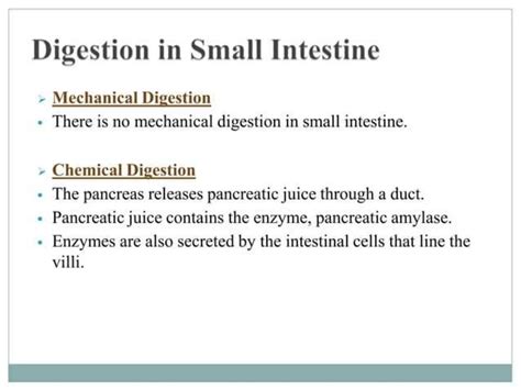 Carbohydrate Classification Function Pptx