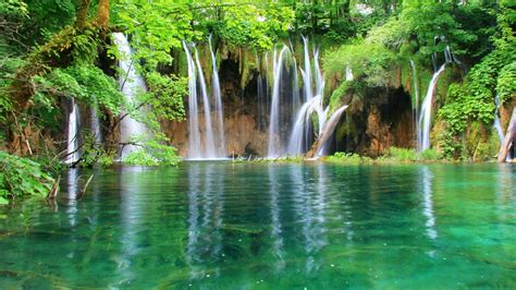 플리트 비체 호수 국립 공원 자연 풍경의 Hd 벽지시사