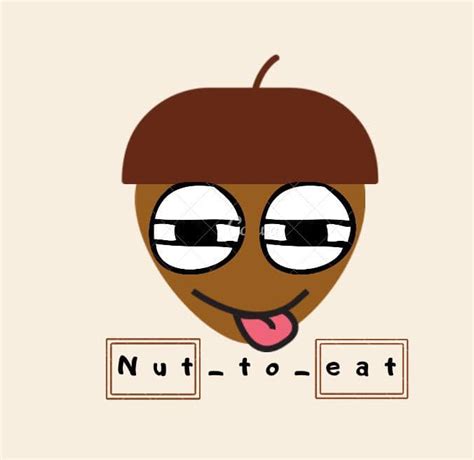 Сухофрукты Орехи Сладости Сухофрукты Орехи Сладости