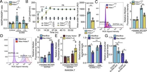 Hdac7 Is An Immunometabolic Switch Triaging Danger Signals For