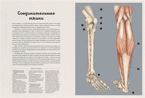 Книга: Анатомикум | Купить книгу в Канаде и США | SmartStart