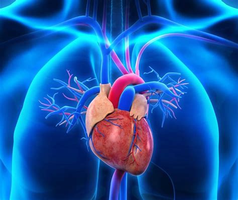 Туморите на сърцето не се срещат често но при откриването им е важно бързо да се реагира