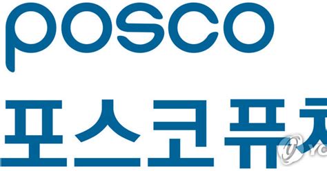 금감원 포스코퓨처엠 유상증자 정정신고서 제출 요구