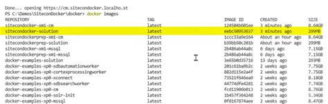 Tip Of The Day The Solution Image With Sitecore And Docker Sitecore