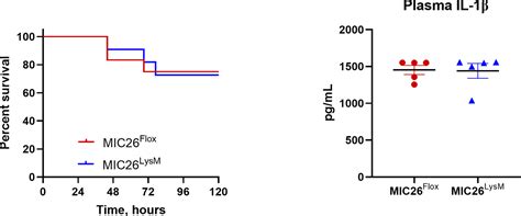 Macrophage Specific Deletion Of Mic26 Apoo Mitigates Advanced
