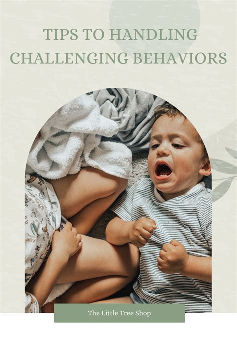 Challenging Behaviors Poster Tips To Handle And Educate Parents