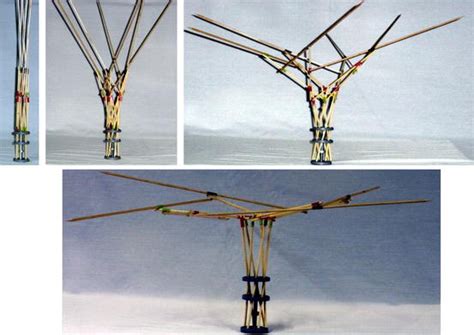 Reciprocal Tree Like Fractal Structures Nexus Network Journal
