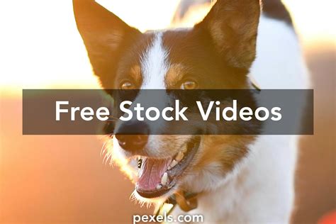 Video Border Animations Videos Download The Best Free 4k Stock Video