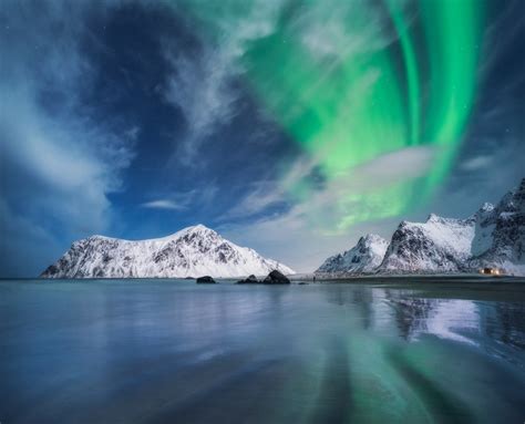 Gallery Daniel Kordan