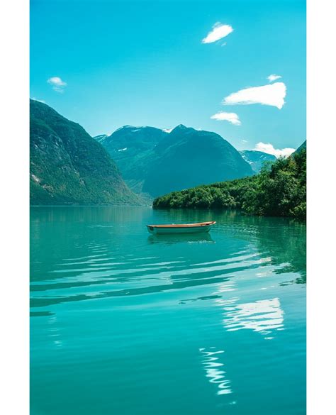 🌟🥗🙏Как избавиться от паразитов👏👌😵 1 Исключить навсегда сахар белую муку дрожжи Это уже 50