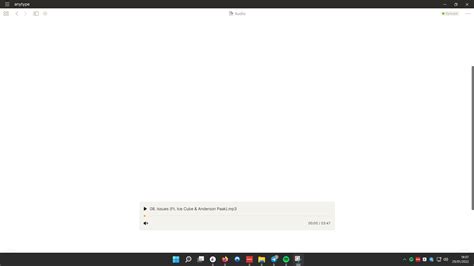 playable audio files bug bug cemetary anytype community