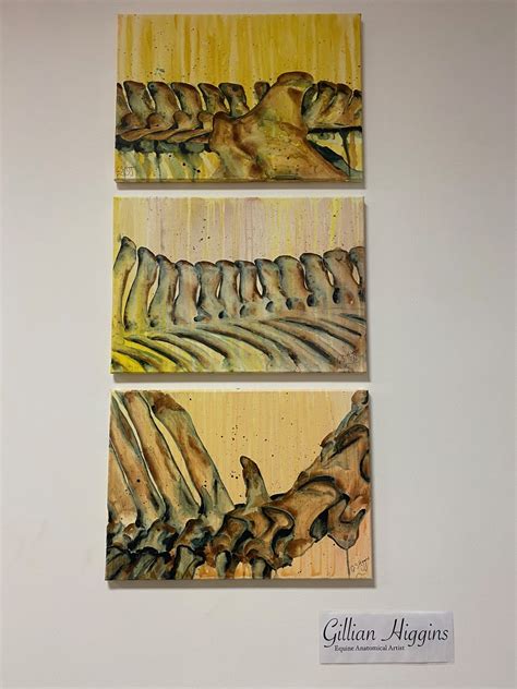 My Visit To The Horses Inside Out Anatomy Exhibition — Jessica Limpkin