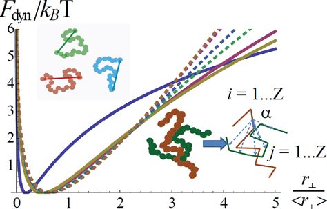 Figure 1 From Microscopic Theory Of Entangled Polymer Melt Dynamics Flexible Chains As