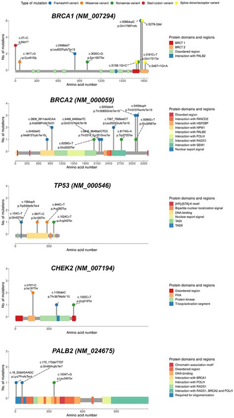 Lollipop Charts Of The Genes With The Highest Number Of Variants In