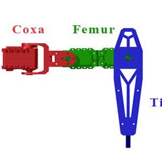 PDF Dynamic Modeling And Control Of The Hexapod Robot Using Matlab SimMechanics