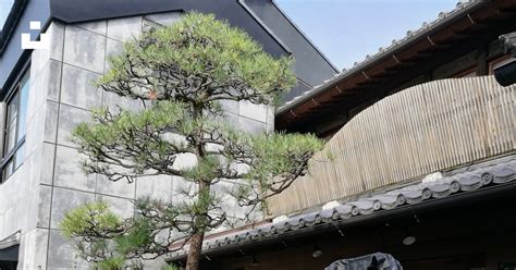 낮에는 갈색 목조 주택 근처의 빨간색과 검은색 휠체어 사진 Unsplash의 무료 건물 이미지