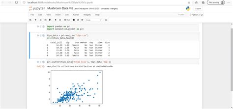 روش رسم Inline و با Qt Matplotlib با Ipython Jupyter نوت بوک • بلاگ رسانگار