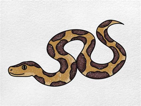 Burmese Python Drawing Helloartsy