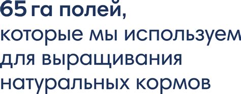Ключевское - фермерские молочные продукты из Краснодара и Горячего Ключа