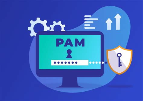 Pam Implementation Steps Challenges And Solutions