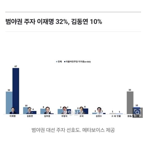 차기 대선주자 선호도 이재명 33로 1위여권 주자 3파전 예상 여론조사 정치시사 에펨코리아