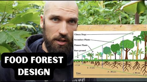The Only Food Forest Video You Need To Watch Syntropic Agroforestry Nz Youtube