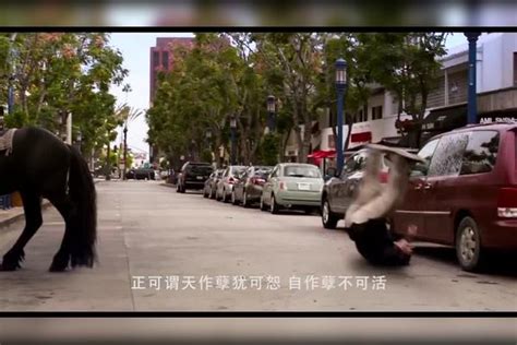 男子脑洞大开，假扮老虎进入草原，吓唬水牛结果会发生什么