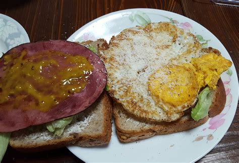 오늘 만들어먹은 비프 파스트라미 샌드위치 음식여행 에펨코리아