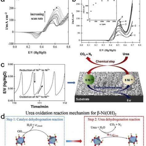 E A Cyclic Voltammogram Of Nickel Electrode In 5 M Koh Solution