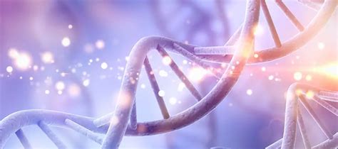 Unlock The Secrets Of Your Dna With Snp Testing