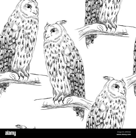 Sketch Of Owl On A White Background Seamless Pattern Stock Vector