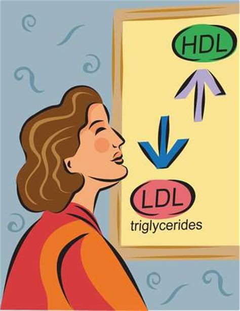 Stock Illustration A Woman Looking At A Chart About HDL And LDL Triglyceride Levels