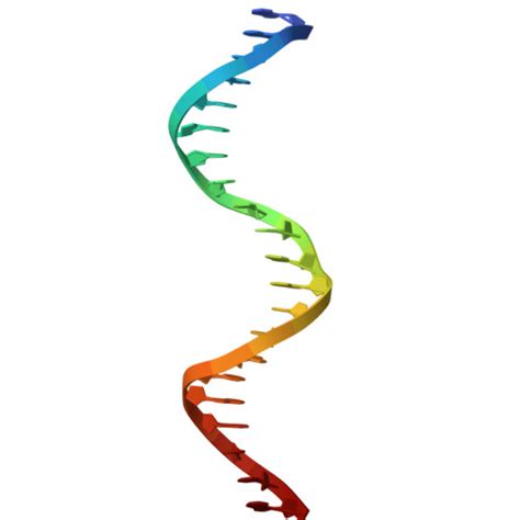 Rcsb Pdb 8tam Sequence Specific Aatt Orientation Of Hoechst Molecules At Two Unique Minor
