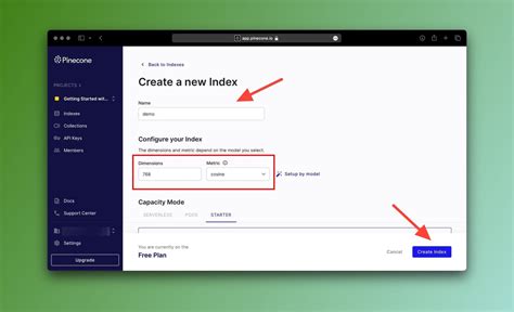 Build Rag App Using Llamaindex Pinecone And Gemini Pro