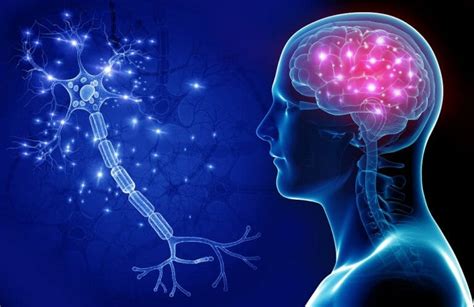 Early Intense Treatment In Multiple Sclerosis Beneficial For Cognitive Function