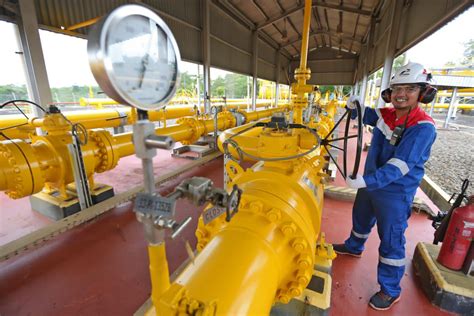 Pgn Jamin Kelancaran Distribusi Gas Wilayah Sumatera Dan Singapura Dunia Energi