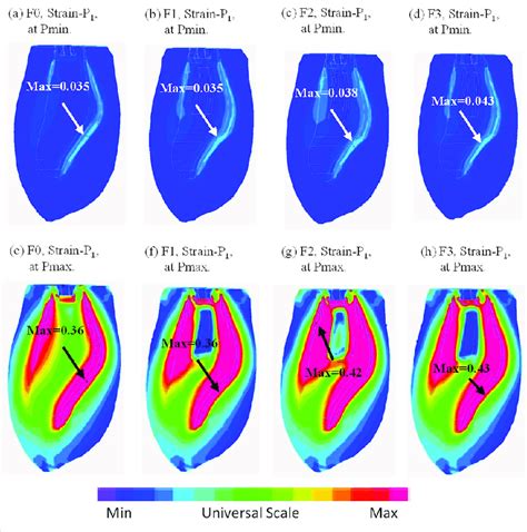 Model Comparison Strain P 1 Distributions Obtained From The Patched Download Scientific