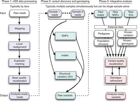 Leveraging Svs For Ngs Workflows The Golden Helix Blog