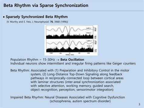 Ppt Sparsely Synchronized Brain Rhythms In A Small World Neural