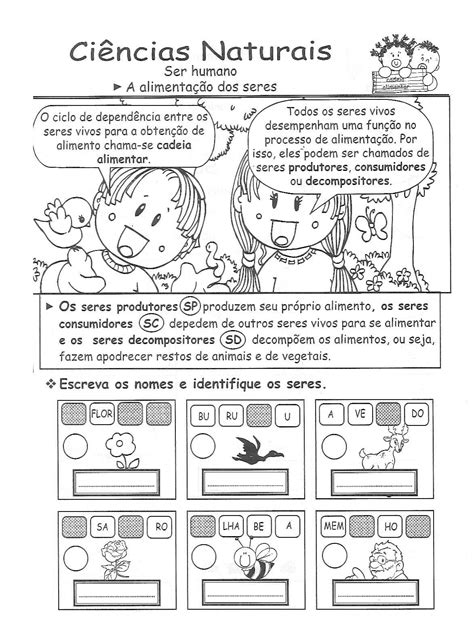 Escola Saber Atividades De Ci Ncias Cadeia Alimentar